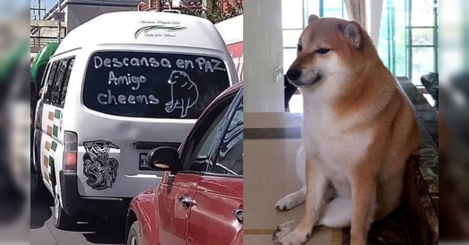 La particular despedida de un chofer de combi a "Cheems" - Uniradio ...