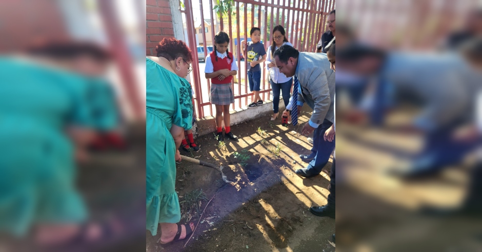 Arranca SEP BC el programa nacional "Regresa A Clases Con Un Árbol ...