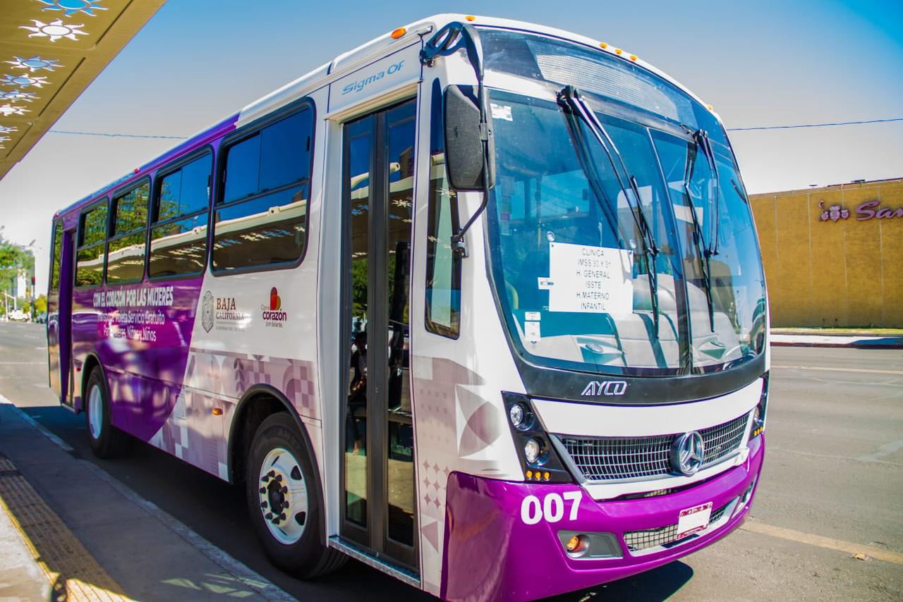 Avanza Transporte Violeta con movilidad ágil y segura para las ...
