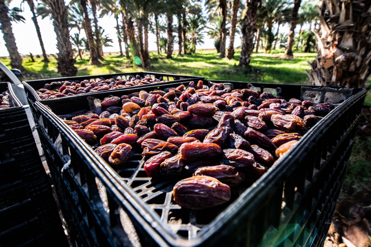 Participa Agricultura en acciones para crear la "Ruta turística del ...