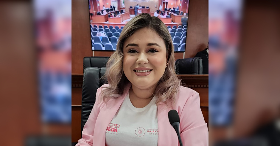 Diputada Michelle Tejeda presenta iniciativa para fortalecer la lucha ...