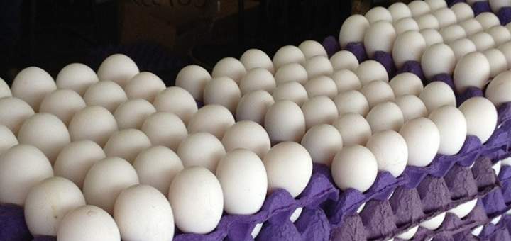 Hasta en 99 pesos la cartera de 24 piezas de huevo en Tijuana ...