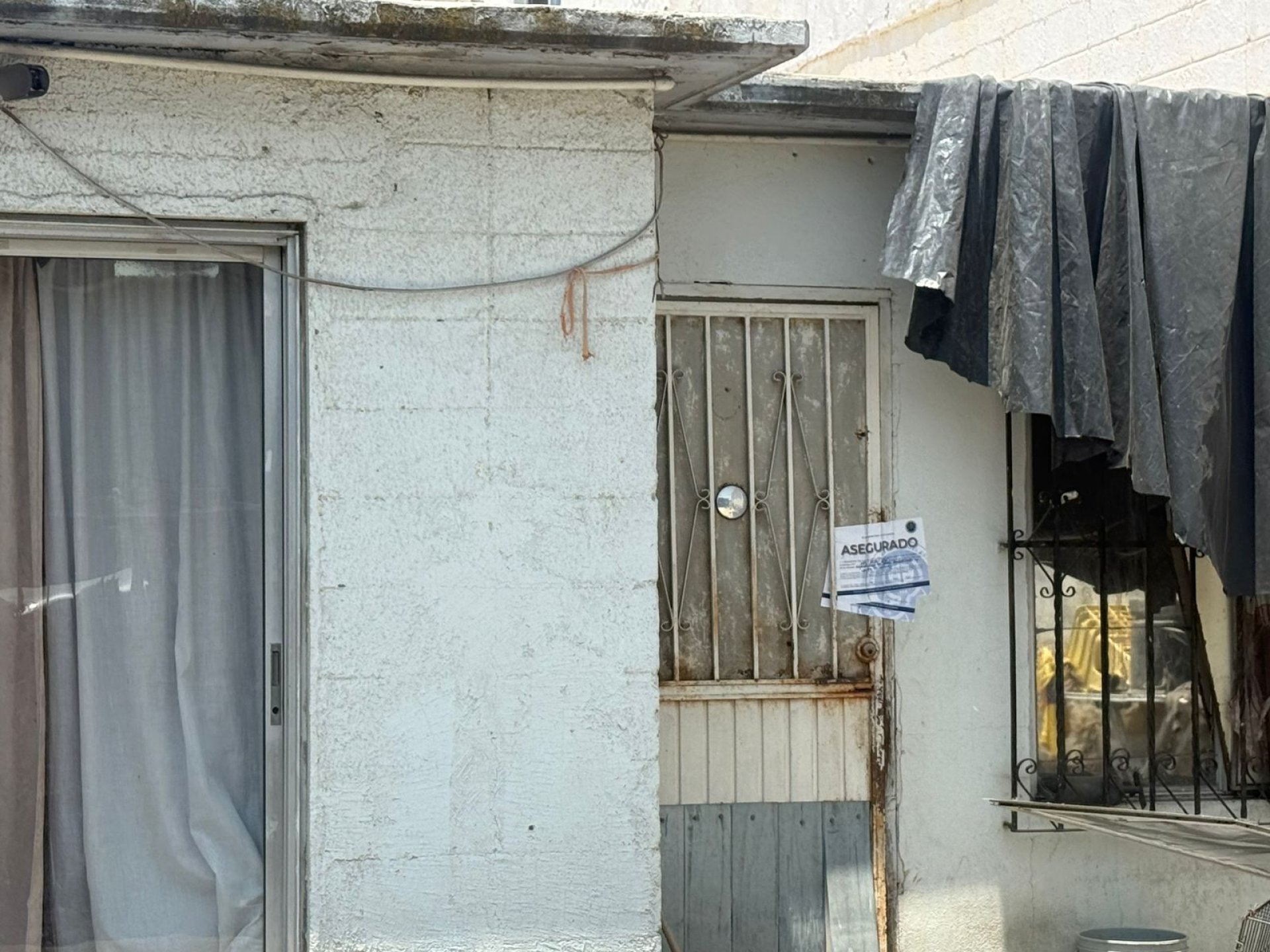 Fiscalía General del Estado ejecuta cateo por maltrato animal y rescata ...