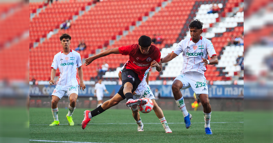 Cachorros suman en casa ante Rayos - Uniradio Informa Baja California